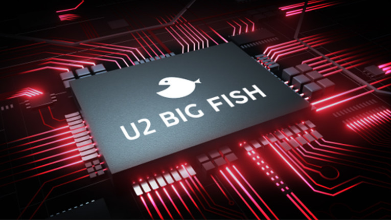 Big Fish Semiconductor and Dolphin Design Partnership Enables Mass ...