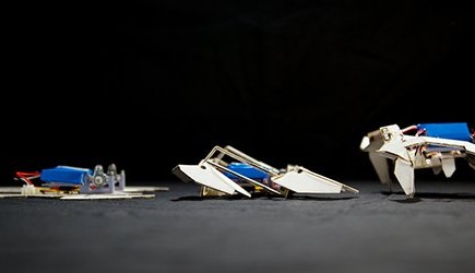 Printed Self-assembling Robots Offer a Peek into the Future of ...