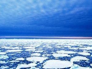 Shell's controversial Arctic campaign - how safe is it? | Elektor Magazine