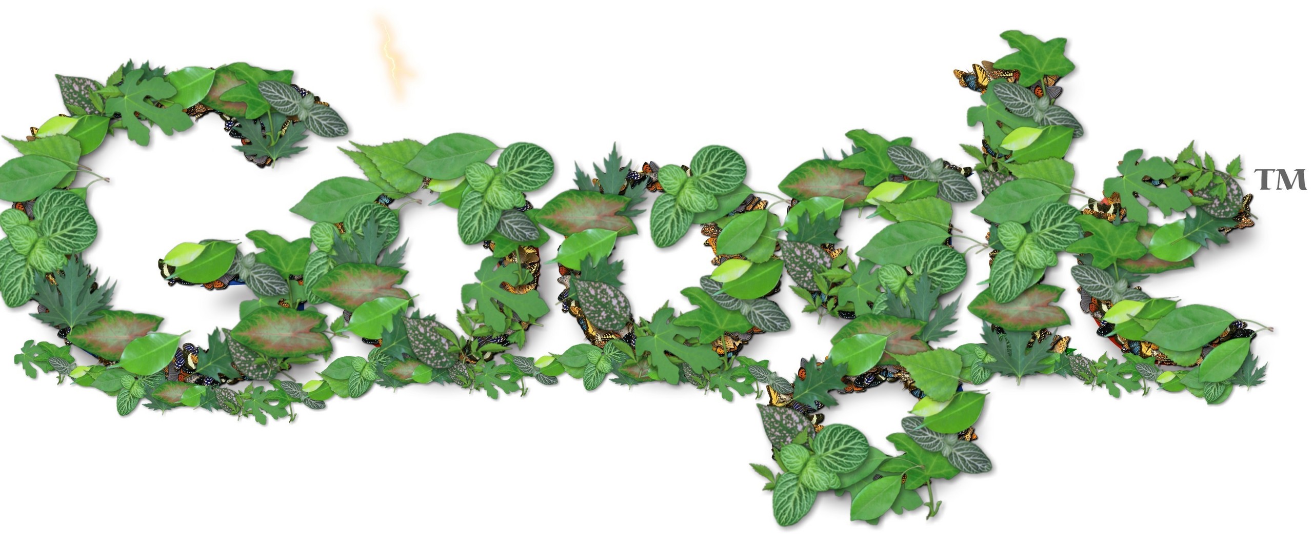 Google Goes Green | Elektor Magazine