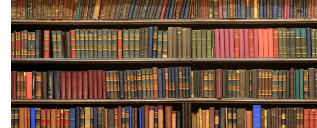 Pirate Libraries and the Future of Access | Elektor Magazine