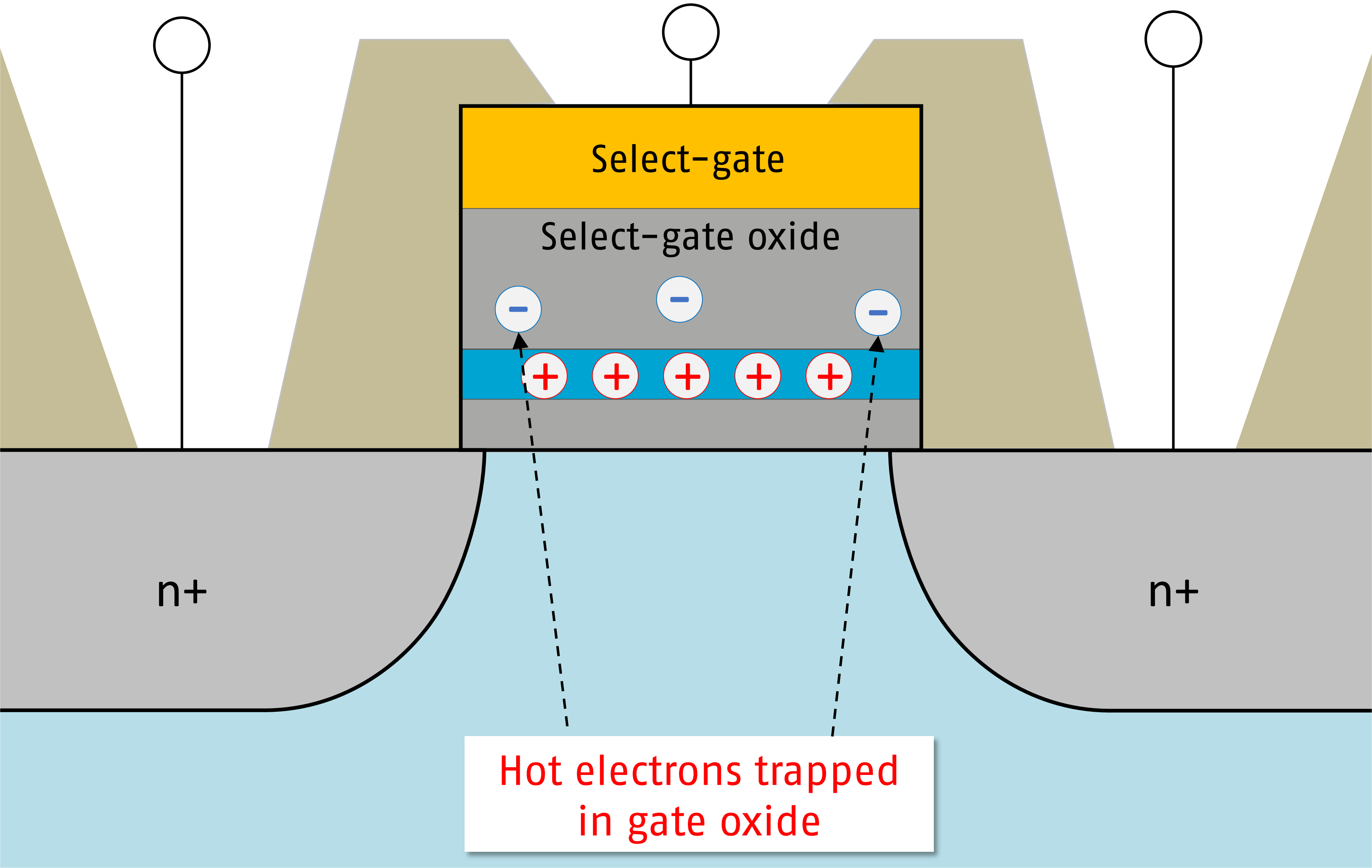 Learning to Choose | Elektor Magazine