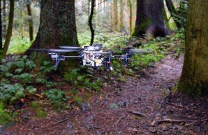 AI drones can see the wood for the trees | Elektor Magazine