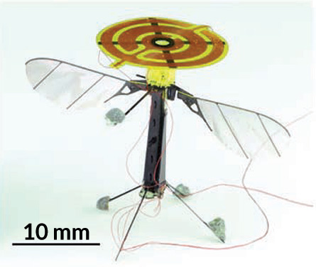 Robot insects land to take a break | Elektor Magazine