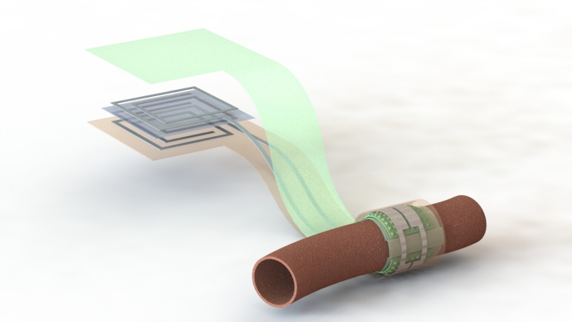 Wireless and battery-free biodegradable blood flow sensor | Elektor ...