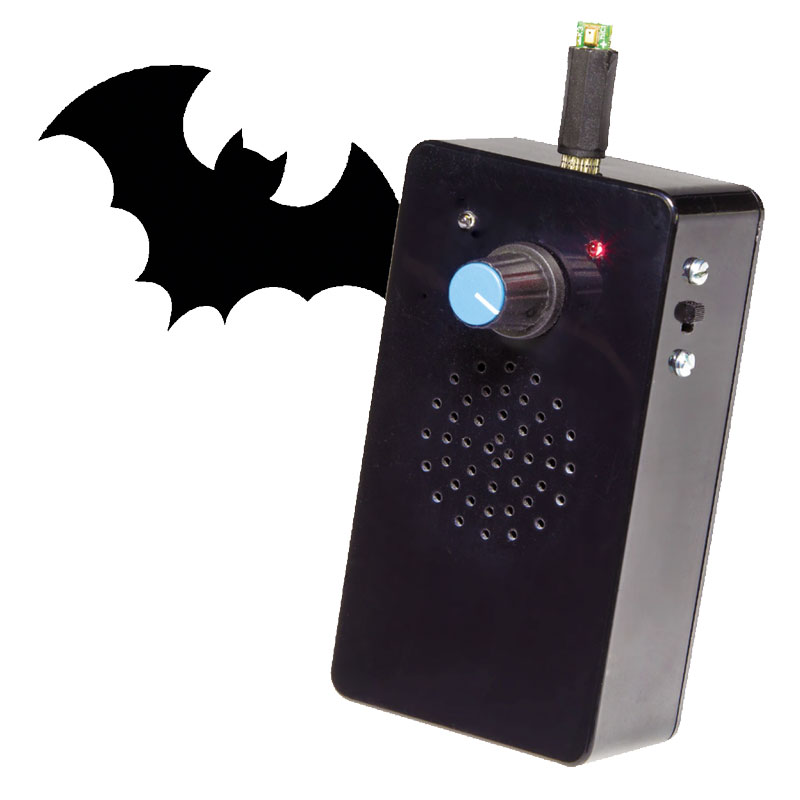 Cool Summer Free Article: Bat Detector-PLUS | Elektor Magazine