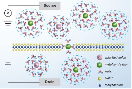Cellular Biology: Electrons & Ions - same difference | Elektor Magazine