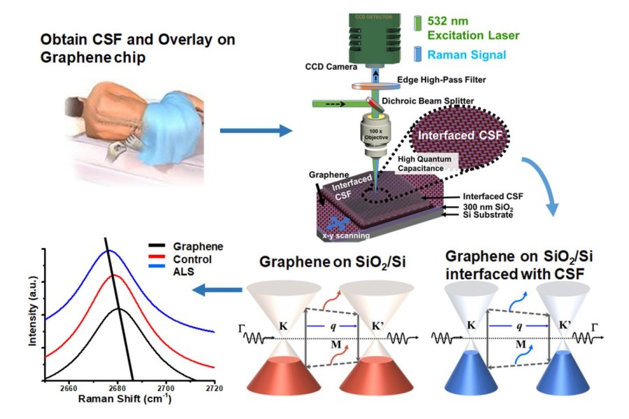 Graphene as a medical diagnostic tool | Elektor Magazine