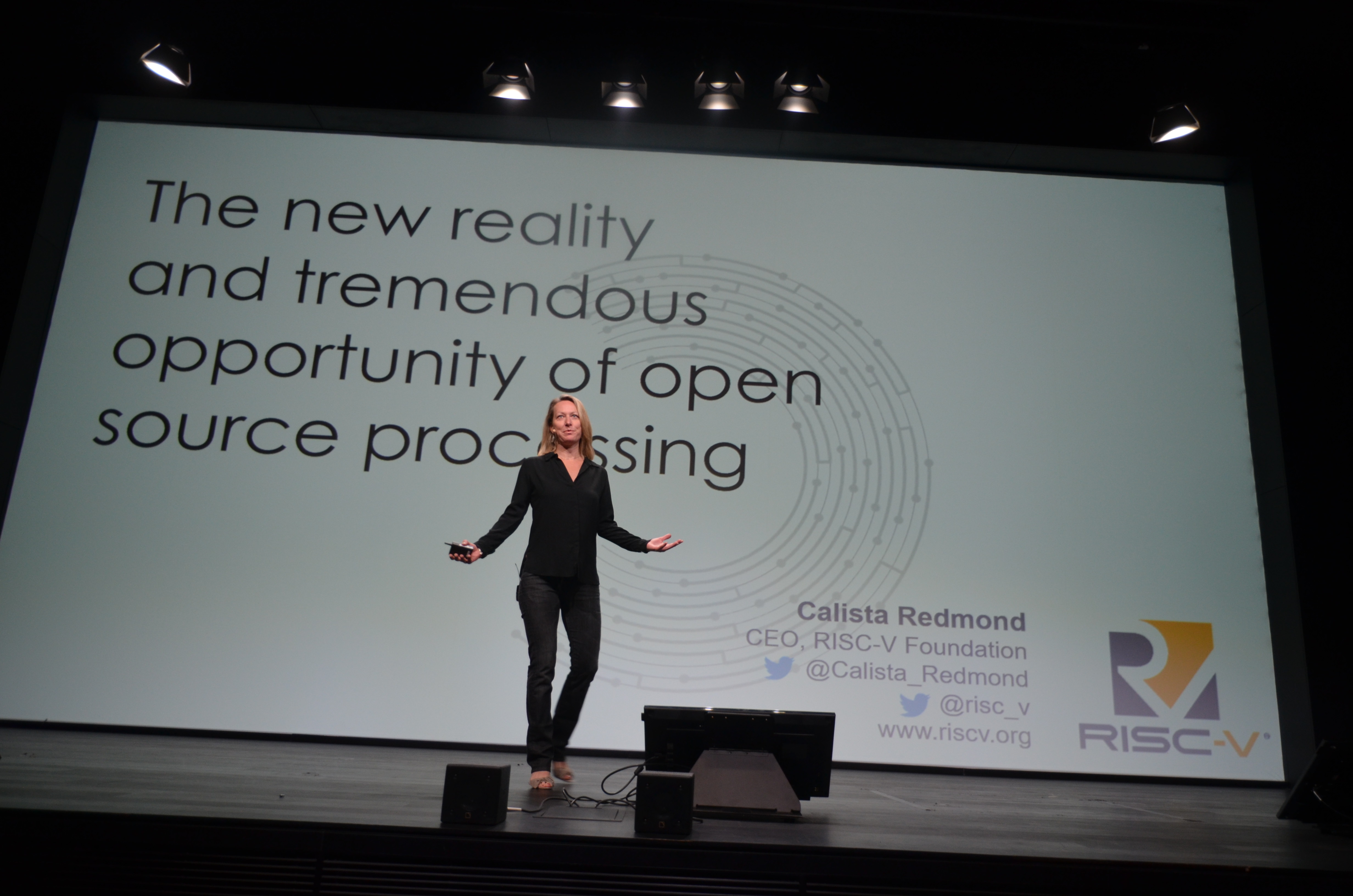 RISC-V und Embedded World 2020: Fragen und Antworten | Elektor Magazine