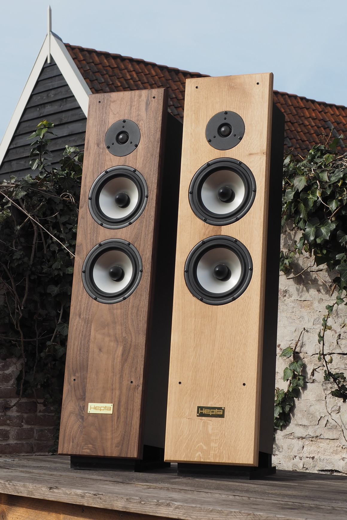 Maand van de HIFI Hepta Design Audio in Westzaan