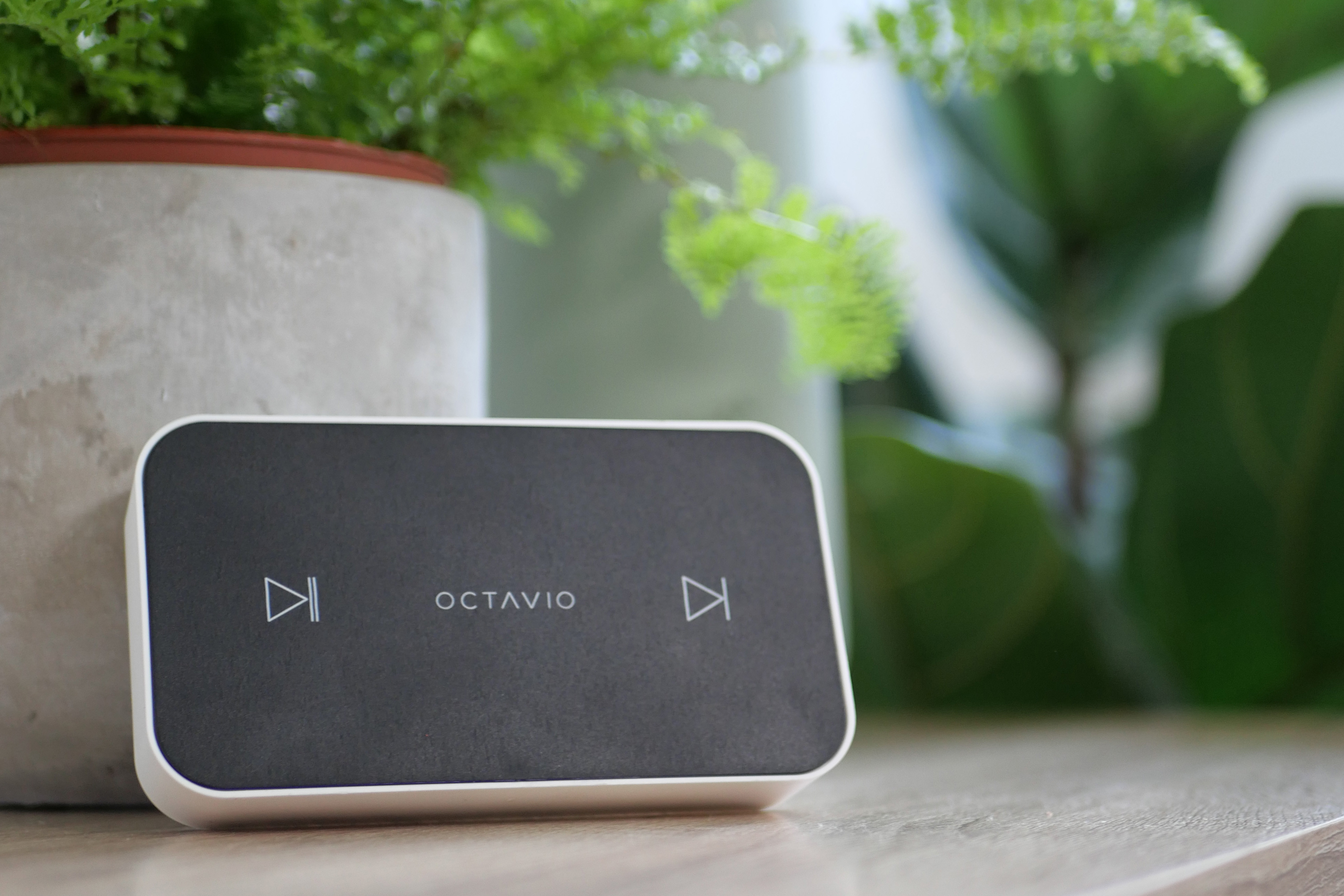 Duurzame Octavio audio streamers nu ook in Nederland te koop | TechFi